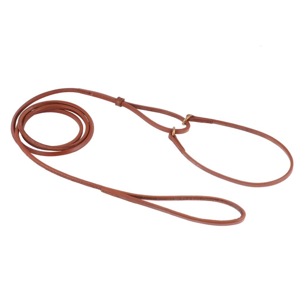 Flat Leather Slip Leads - Alvalley LLC - Dog Leashes and Collars