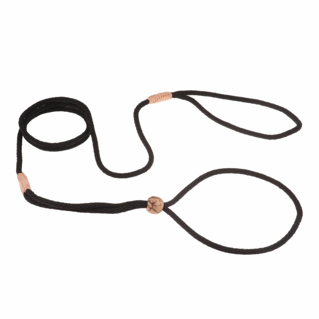 Nylon Adjustable Loop Lead - Alvalley LLC - Dog Leashes and Collars
