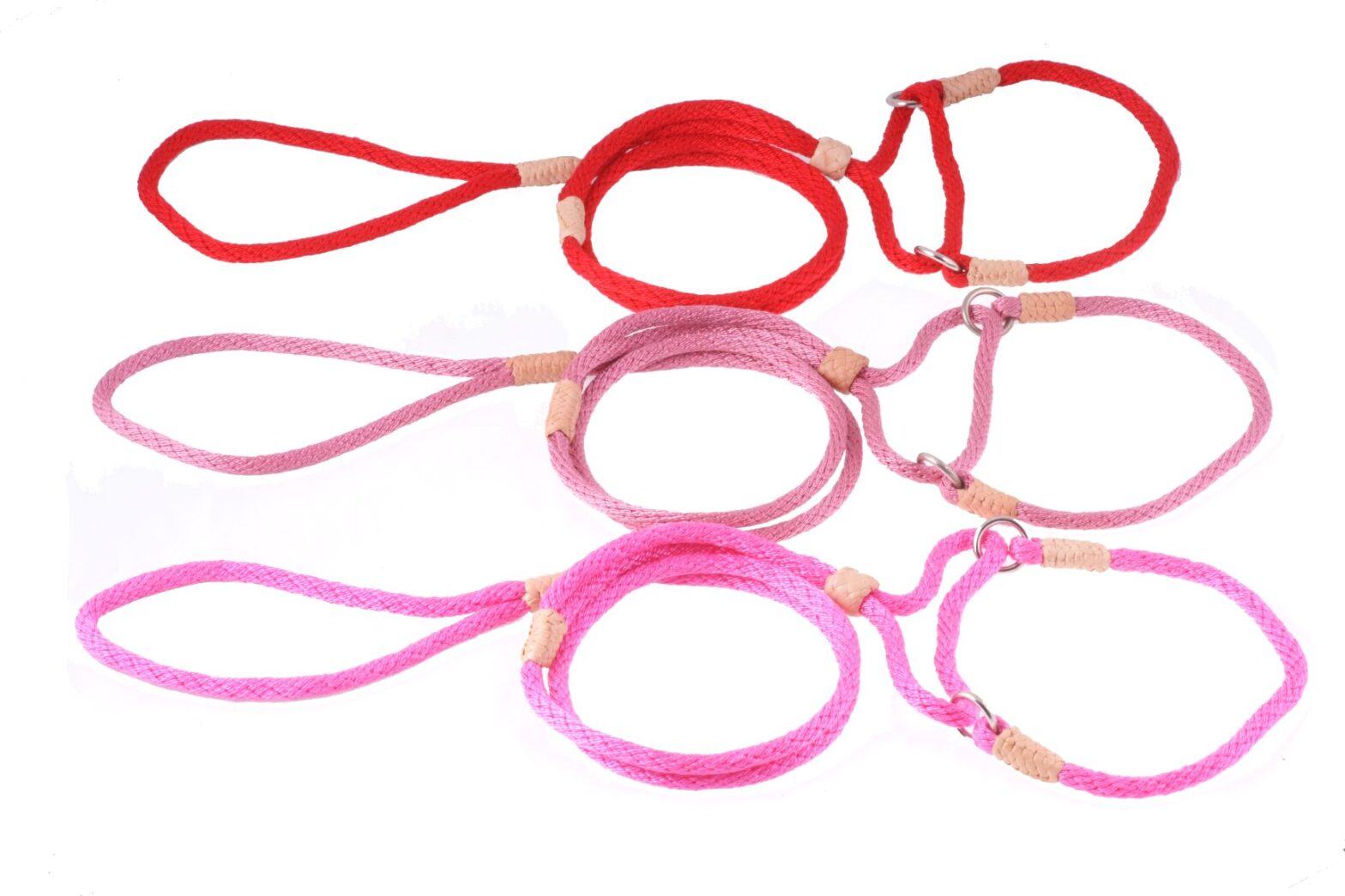 Nylon Martingale Leads - Alvalley LLC - Dog Leashes and Collars