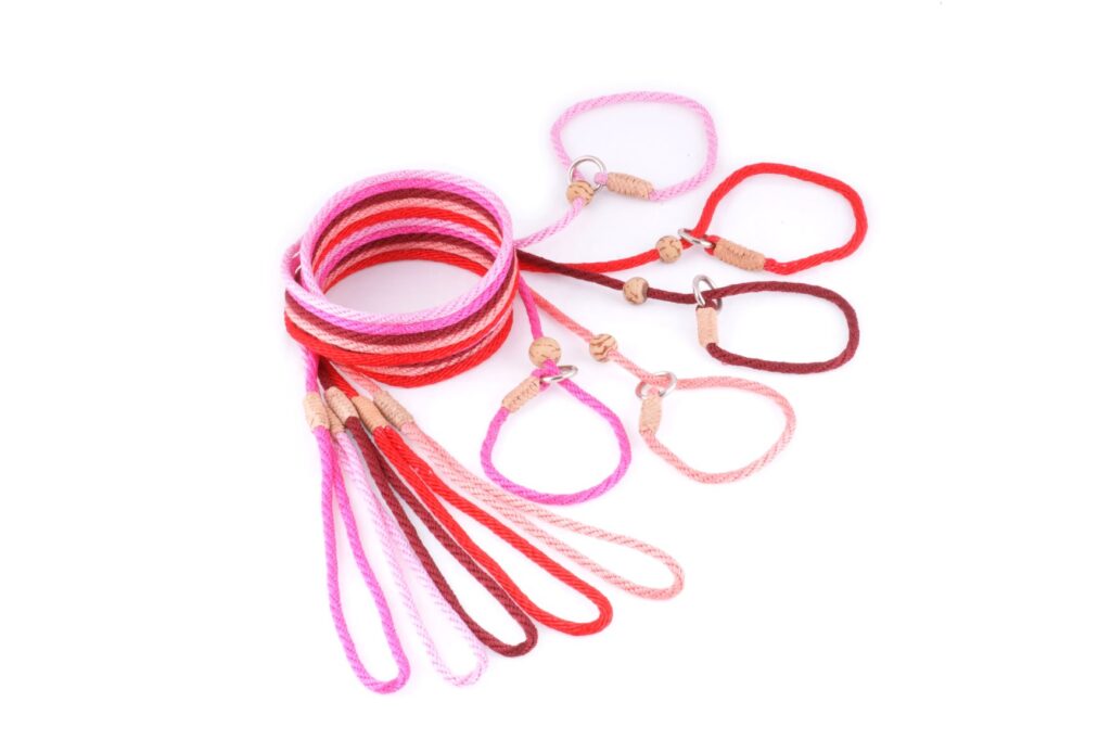 Nylon Slip Lead With Stopper - Alvalley LLC - Dog Leashes and Collars
