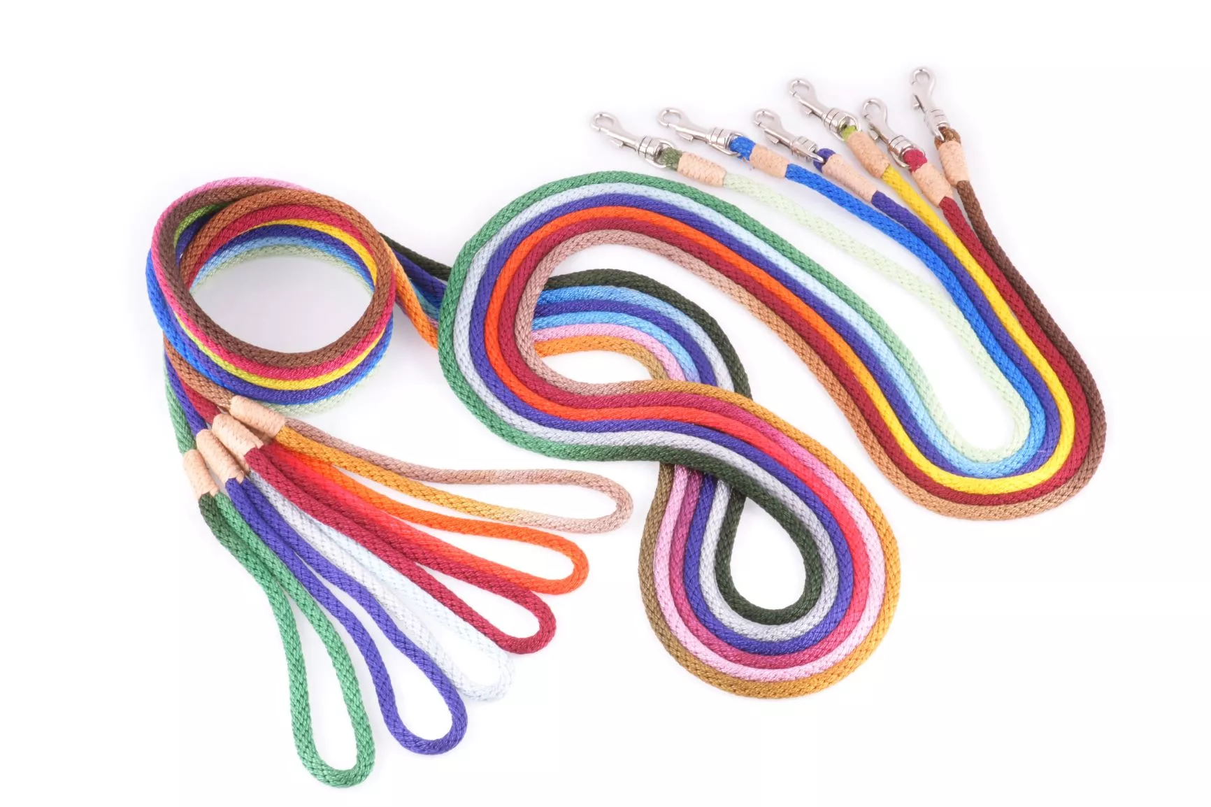 What are the Best Dog Leads for Training